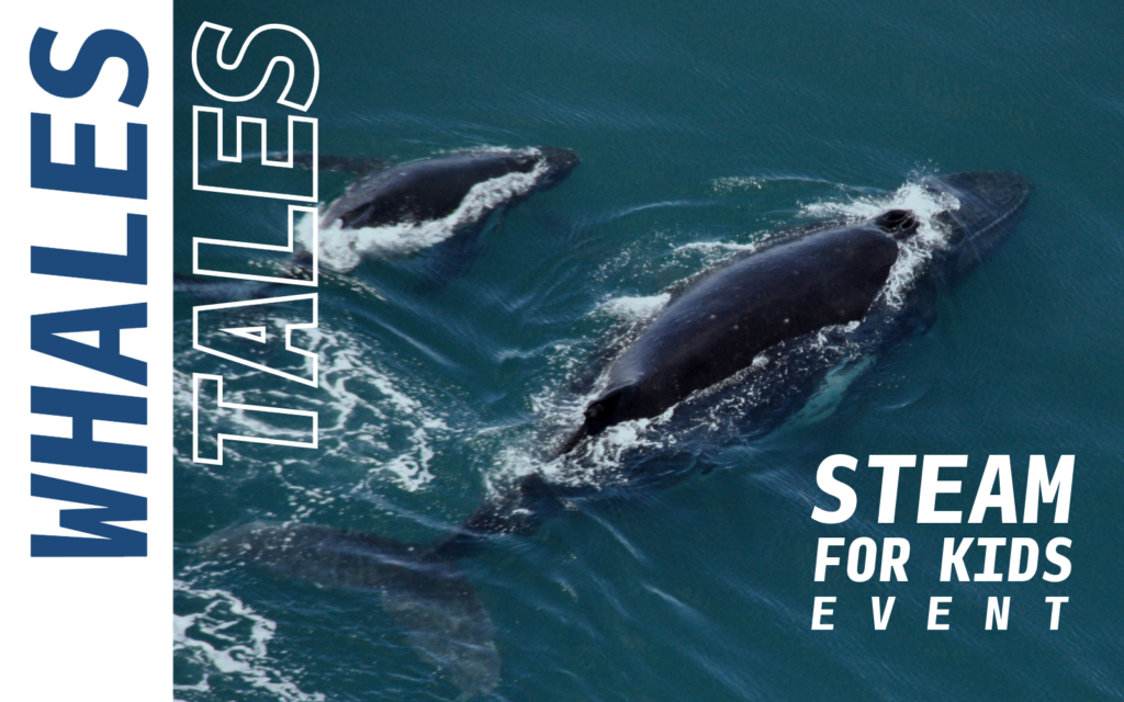 Southwestern hosts STEAM for KIDS Event: “Whales Tales!” – Feb. 18 ...