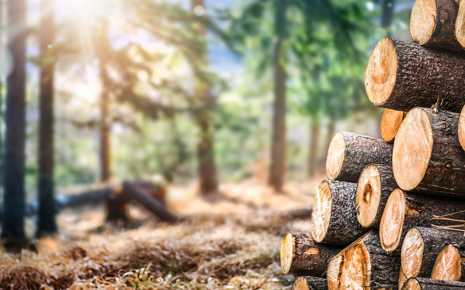 Southwestern hosts "The Future of Oregon’s Working Forests: Balancing ...